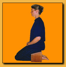 Insight Meditation Workshop Sitting Postures Illustrated
